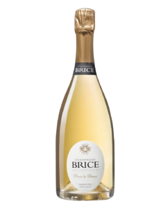 Champagne Brice à Bouzy – Famille à Bouzy depuis 1684